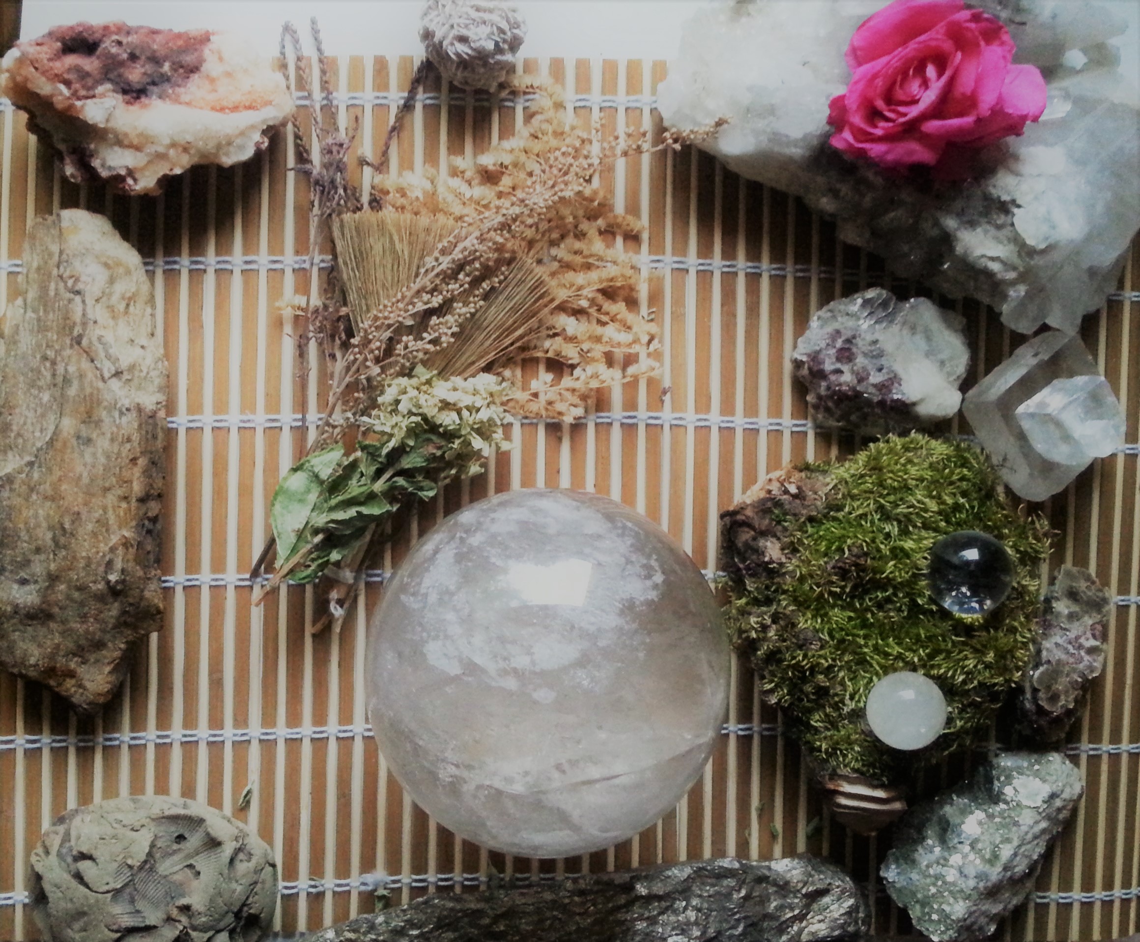 The Wandering Bramble